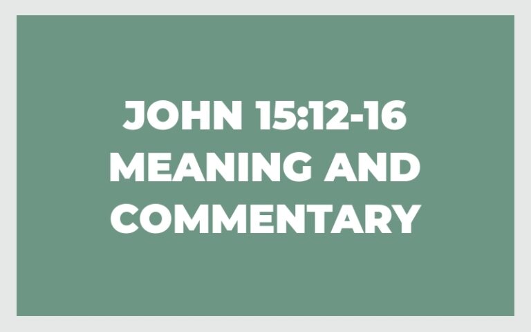 John 15:12-16 Meaning and Commentary - The Bible Outlined
