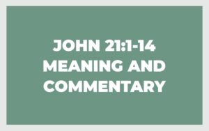 John 21:1-14 Meaning and Commentary - The Bible Outlined