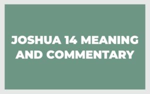 Joshua 14 Meaning and Commentary - The Bible Outlined