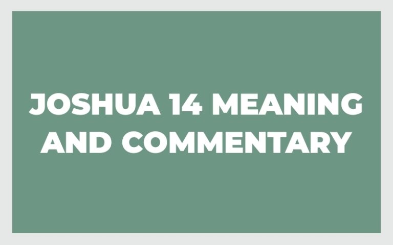 Joshua 14 Meaning and Commentary - The Bible Outlined