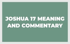 Joshua 17 Meaning and Commentary - The Bible Outlined