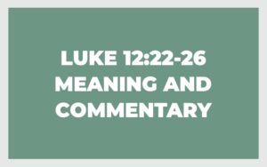 Luke 12:22-26 Meaning and Commentary - The Bible Outlined