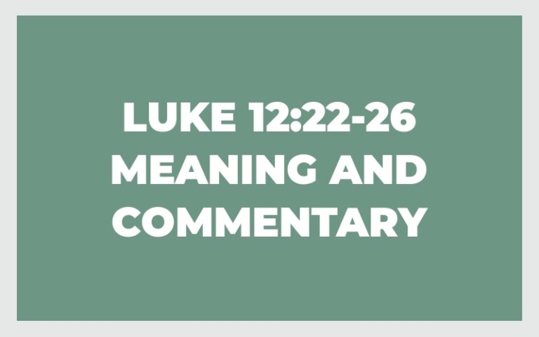 Luke 12:22-26 Meaning and Commentary - The Bible Outlined