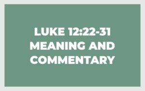 Luke 12:22-31 Meaning and Commentary - The Bible Outlined