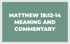 Matthew 18:12-14 Meaning and Commentary - The Bible Outlined