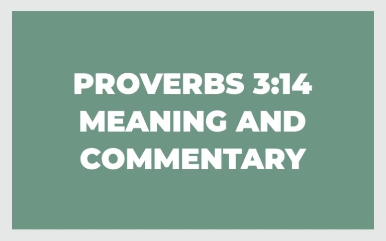 Proverbs 3:14 Meaning and Commentary - The Bible Outlined