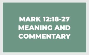 Mark 12:18-27 Meaning and Commentary - The Bible Outlined