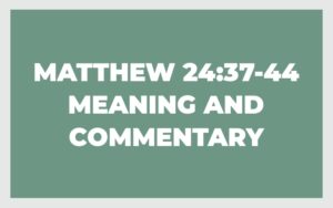 Matthew 24:37-44 Meaning and Commentary - The Bible Outlined